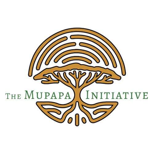 Mupapa Wood – Discover the timeless charm of our wooden wonders