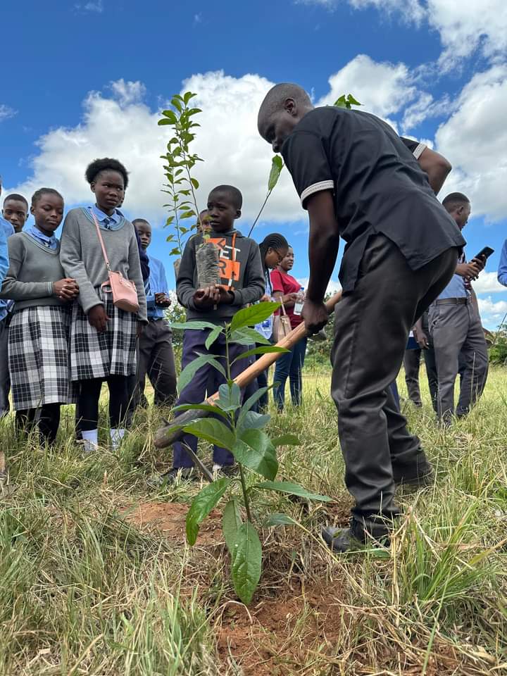 The Mupapa Initiative: Cultivating Sustainable Practices in Zambian ...